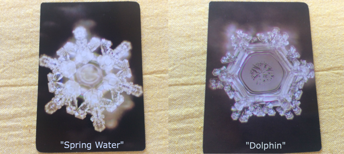 WATER, WALKING and WORDS, Part 1 | bridges of love light