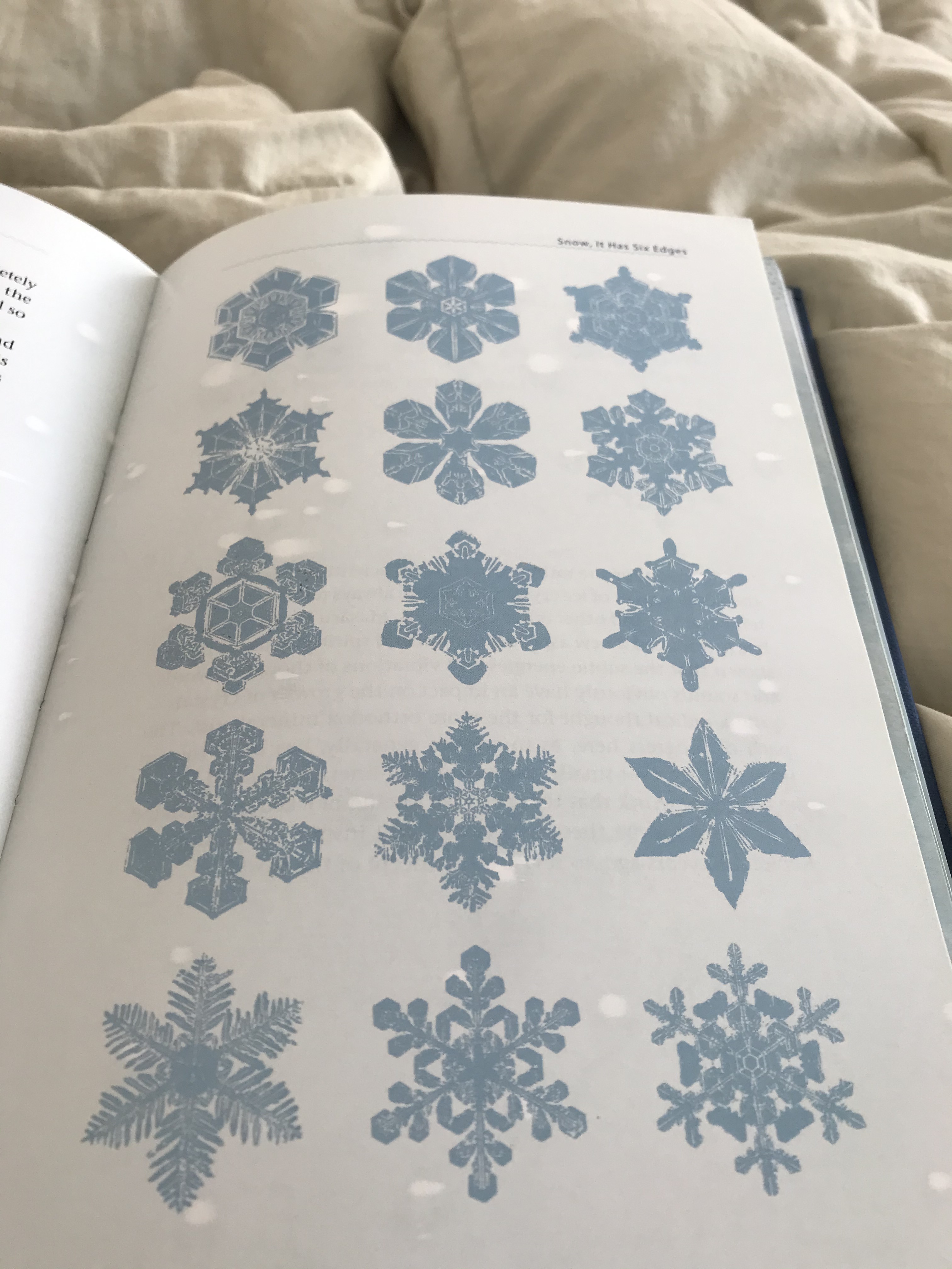 masaru emoto | bridges of love light